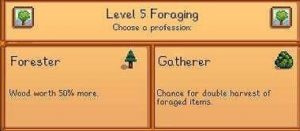 Stardew Valley | Forester or Gatherer? Foraging Skill Guide