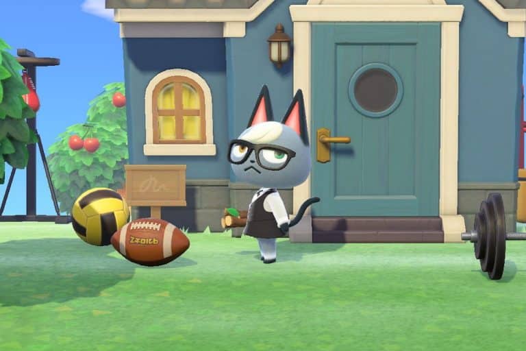 Animal Crossing: New Horizons Raymond Villager Guide