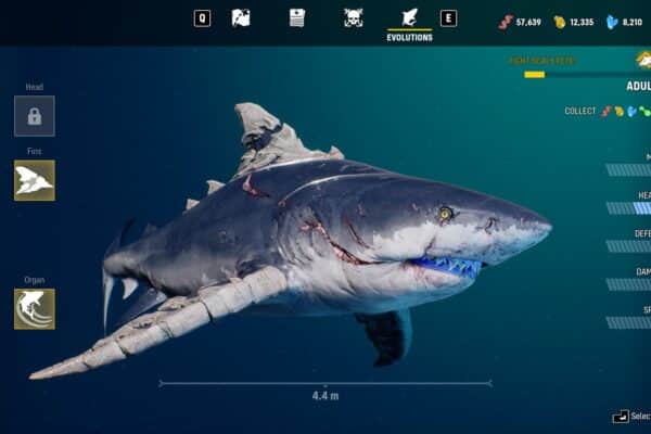 Maneater Skins | All the Skins You Can Get in the Game